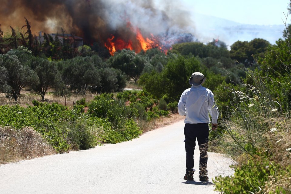 Φωτιά στη Ραφήνα - Μήνυμα 112 για εκκένωση τριών περιοχών -Κλειστή η λεωφόρος Μαραθώνος ...